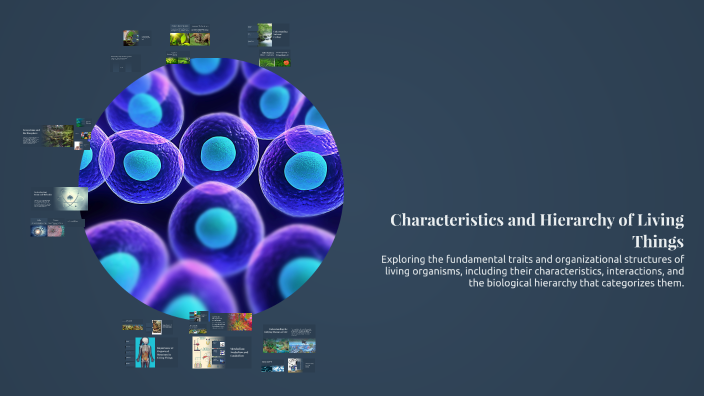 Characteristics and Hierarchy of Living Things by Pearls Intheocean on ...