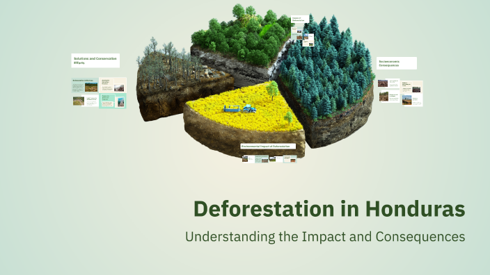 Deforestation in Honduras by Terryan Croom on Prezi
