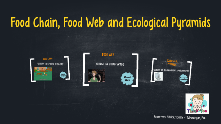 Food Chain, Food Web and Ecological Pyramids by Shannen Alfelor on Prezi