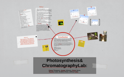 Photosynthesis Lab: Floating Leaf Disks by bradford porter on Prezi