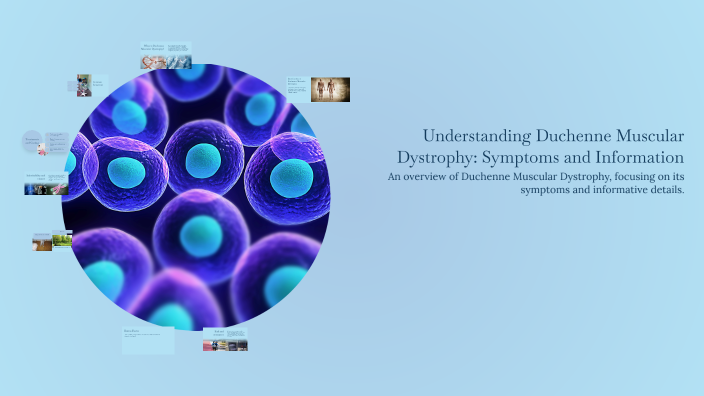 Understanding Duchenne Muscular Dystrophy: Symptoms and Information by ...