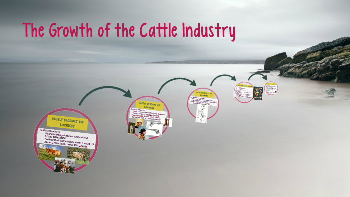 The Growth of the Cattle Industry by Mark Chambers on Prezi