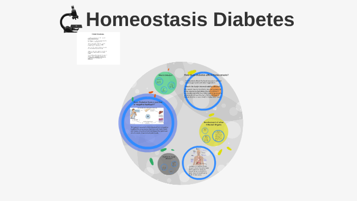 Homeostasis Diabetes by on Prezi
