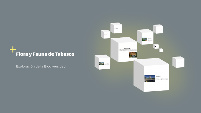 Flora y Fauna de Tabasco by juan daniel garcia mariano on Prezi