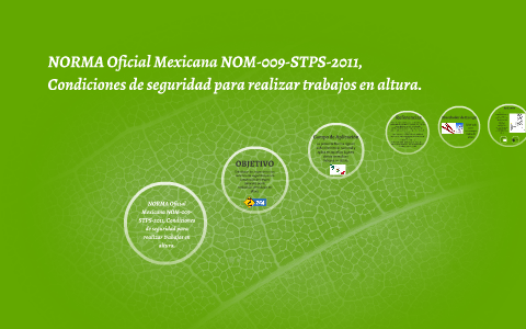 NORMA Oficial Mexicana NOM-009-STPS-2011, Condiciones de seg by DULCE ...