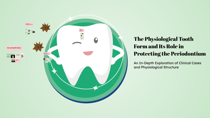 The Physiological Tooth Form and Its Role in Protecting the ...