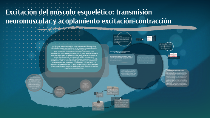 higiene II by Nicole Luque on Prezi