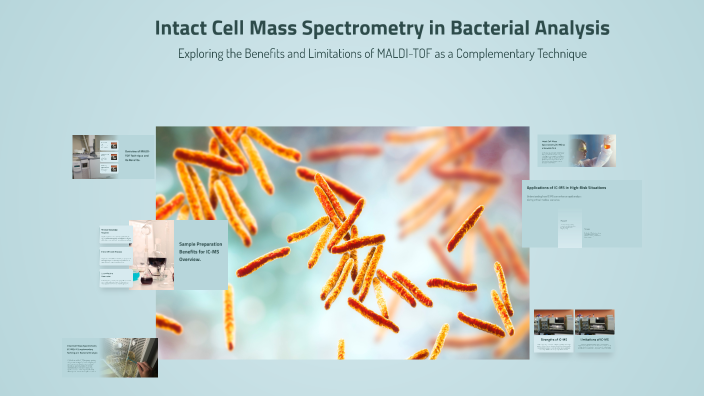 Intact Cell Mass Spectrometry in Bacterial Analysis by Anamarija Dujić ...