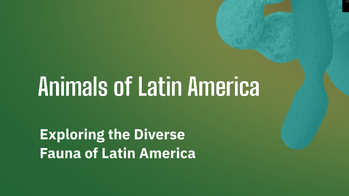 Animals of Latin America by Alina Herrador Vuleta on Prezi