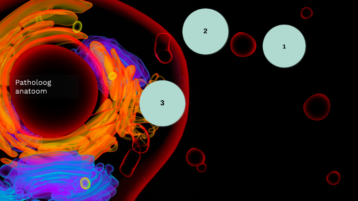 patholoog anatoom by annefleur otterloo on Prezi