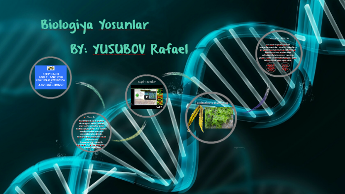 Biologiya Yosunlar by Rafael Yusubov on Prezi