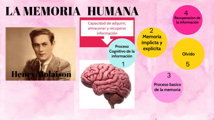 La Memoria Humana By Katherine Lady Ponce Vargas On Prezi