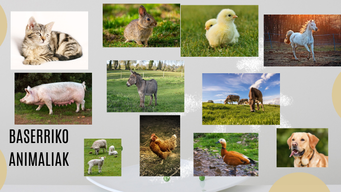 baserriko animaliak by Zuriñe Cañibano Perez on Prezi