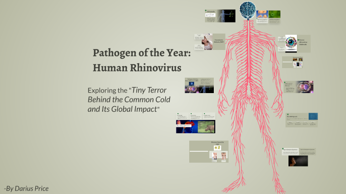 Pathogen of the Year: Human Rhinovirus by Darius Price on Prezi