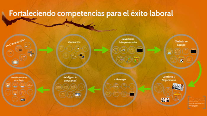 Comportamiento Organizacional by Fanny Villalobos