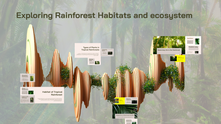 Exploring Tropical Rainforest Ecosystems by Justin Nation on Prezi