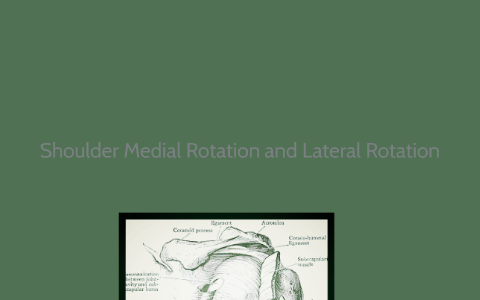 Shoulder Medial Rotation and Lateral Rotation by Katherine Call on Prezi