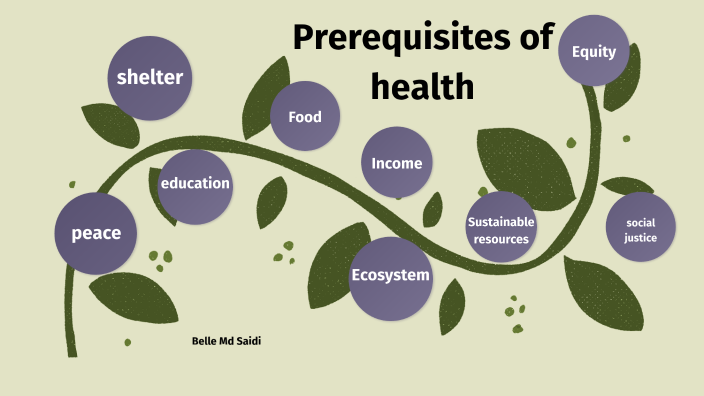 prerequisites of health by Belle Md Saidi on Prezi