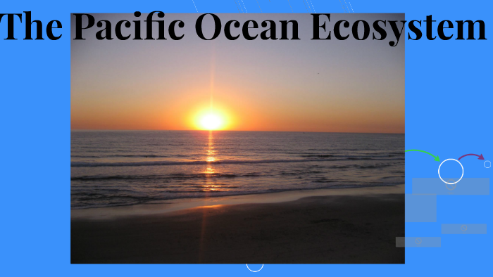 The Pacific Ocean Ecosystem by rabecka/gracie johnson/cobb on Prezi