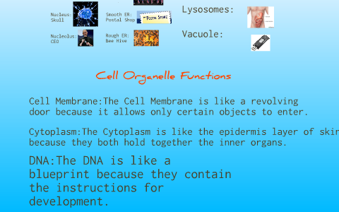 Cell Rubric Analogy by Kolton Miller on Prezi