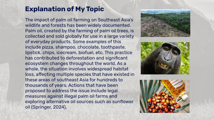 Informative Speech Visual Aid: The Impact of Deforestation on an ...