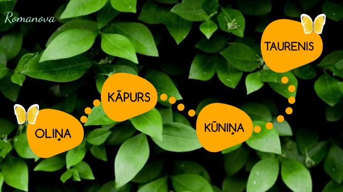 Taurenis by Marta Romanova on Prezi