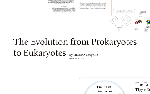 The Evolution from Prokaryotes to Eukaryotes by James O'Loughlin on Prezi