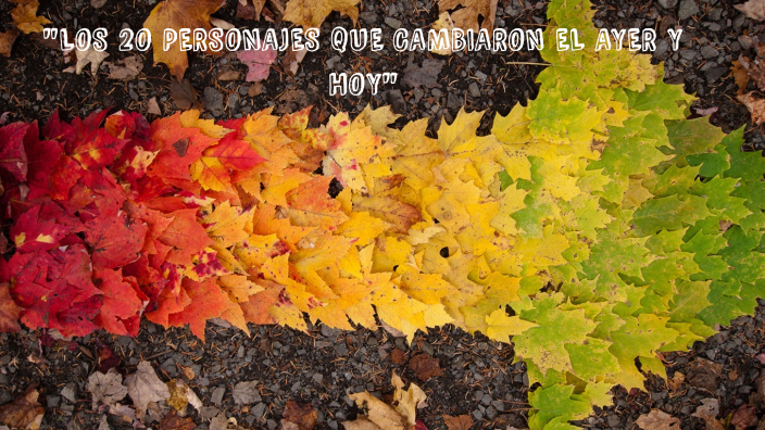 Proyecto Transversal by Monserrat Navarrete Monroy on Prezi