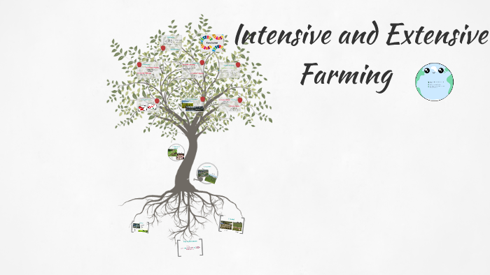 Intensive Vs. Extensive Farming by Sofia Badilla on Prezi