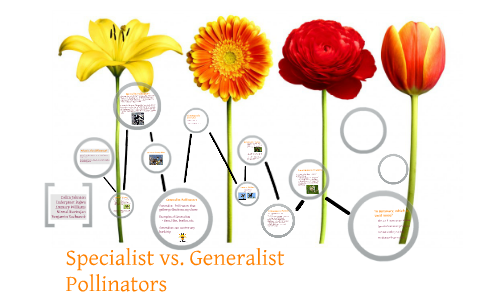 Specialist vs. Generalist Pollinators by Emmary Williams on Prezi