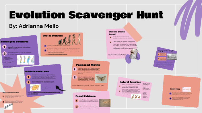 Evolution Scavenger Hunt by Adrianna Mello on Prezi