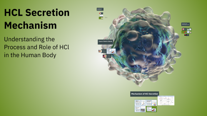 HCL Secretion Mechanism by Chandu L on Prezi
