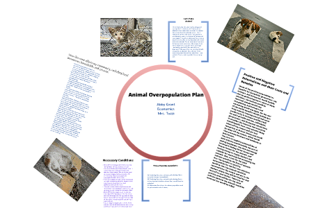 Animal Overpopulation Plan by Abby Grant on Prezi