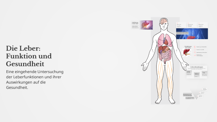 Die Leber: Funktion und Gesundheit by Amélie Présidy on Prezi