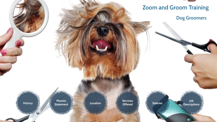 Zoom and Groom by Sarah Mahtani on Prezi