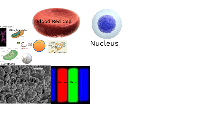 The scale Of The Universe By Carykh And Me by Ethan on Prezi