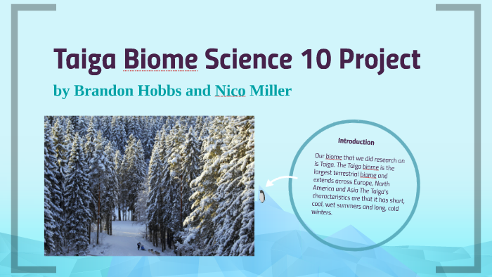 Taiga Biome Science by Brandon Hobbs