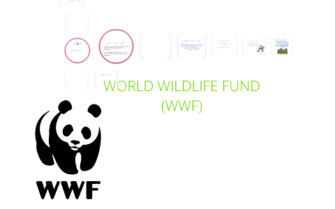 wwf presentation by Alex Flores on Prezi