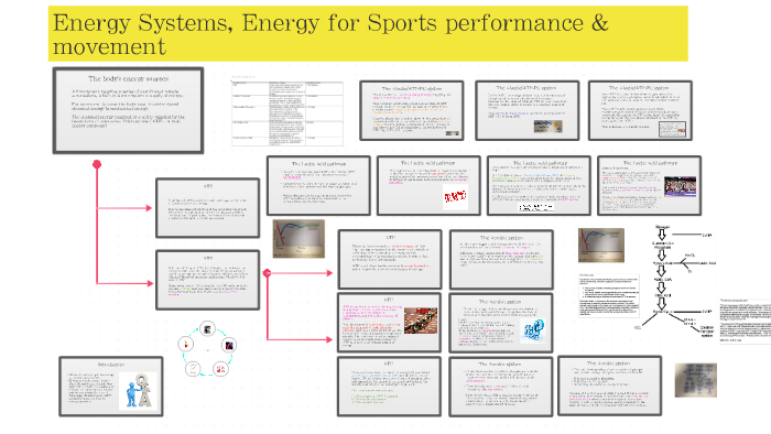 Energy Systems, Energy for Sports performance & movement by Horace Reid ...