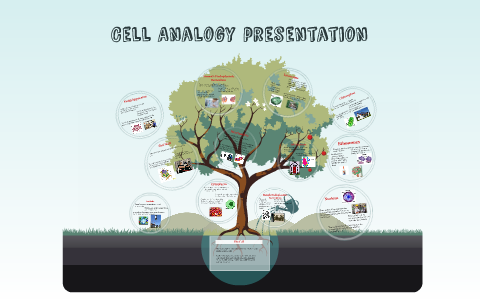 Cell Analogy by Andy Bethea on Prezi