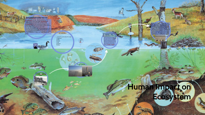 Human Impact on Ecosystem by Akma Aralbayeva on Prezi