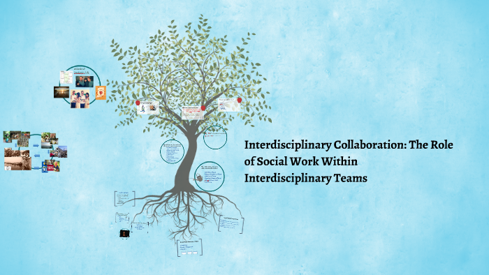 Interdisciplinary Collaboration: A Brief Guide to Social Wor by Jessica ...