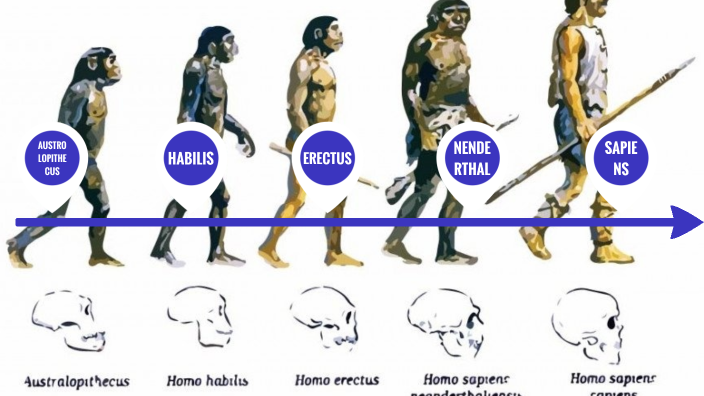 Linea de tiempo by Aaron Guaman on Prezi