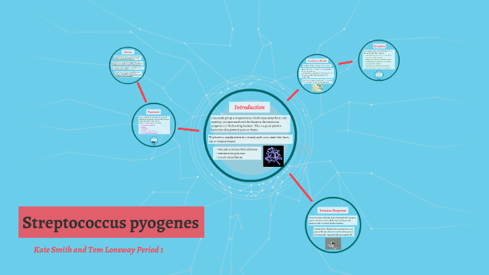 Streptococcus Pyogenes by Tom Lonsway on Prezi