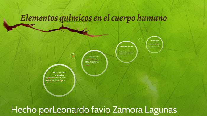Elementos quimicos en el cuerpo humano by leonardo zamora on Prezi