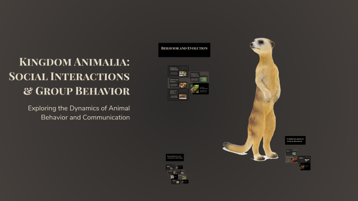 Kingdom Animalia: Social Interactions & Group Behavior by Tammy Blobaum ...