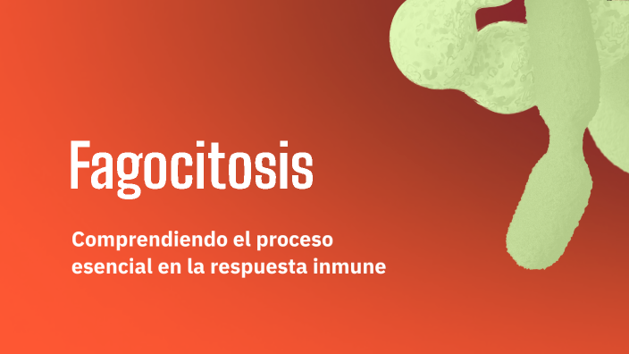 Fagocitosis by Jesus Sanchez on Prezi