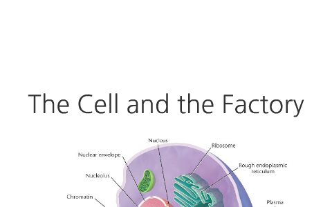 The Cell and the Factory by on Prezi