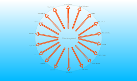Risk Management Wheel by Stephen Allum on Prezi