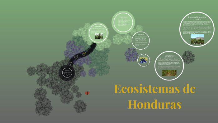 Ecosistemas de Honduras by Monica Gomez on Prezi